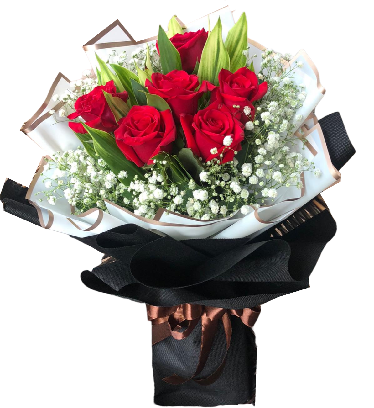 V4 ROSE