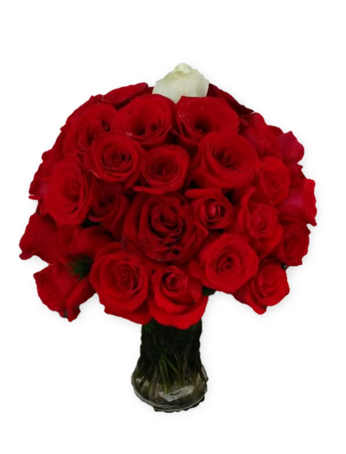 BIG RED ROSES